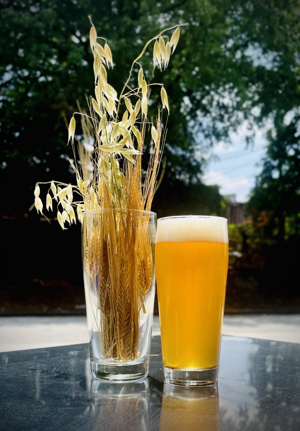 Our house lager Cape Fair is back on tap! - Hidden Gate Brewing