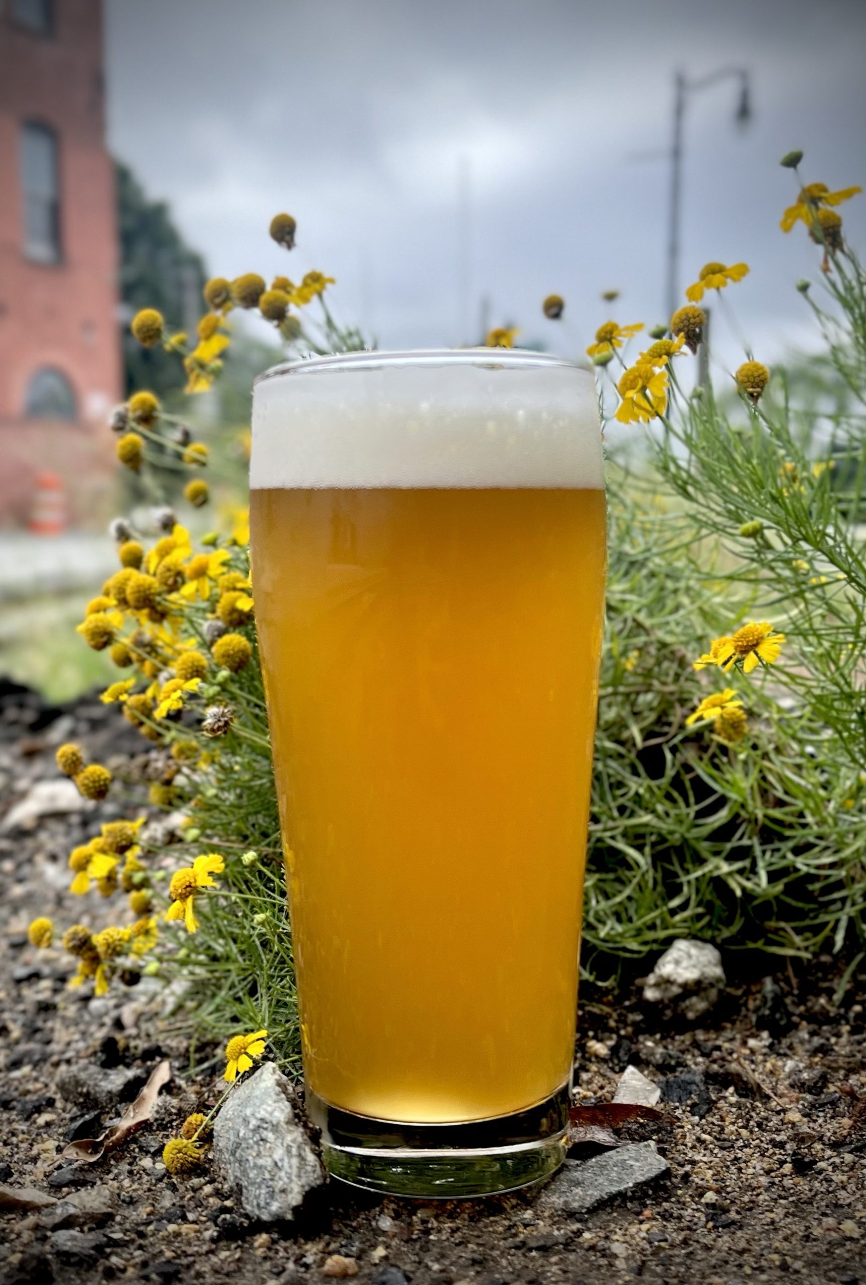 Our Brews | Hidden Gate Brewing